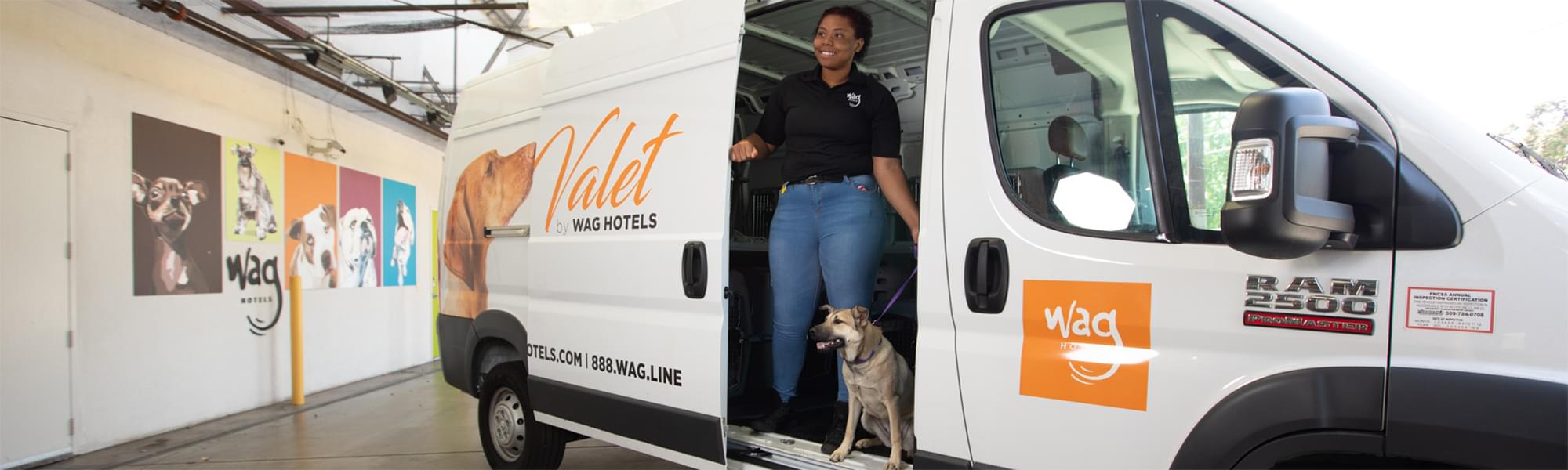 Wag Hotels | Dog, Cat and Pet Boarding, Day Care, Grooming, and Training